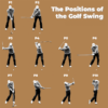 10 Golf Swing Positions – Sarasota National Golf Learning Center